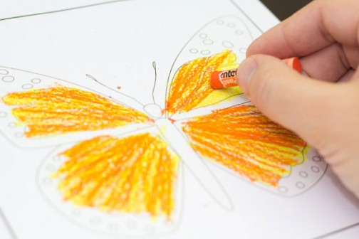 Oil Pastel Art Project - Monarch Butterfly - Art For Kids Hub