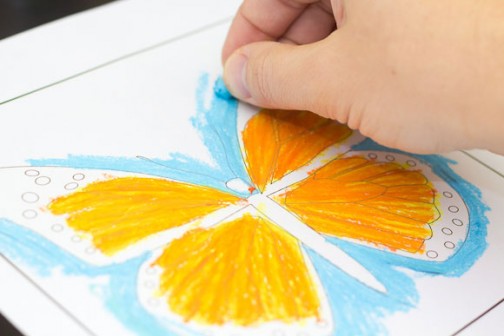 Oil Pastel Art Project - Monarch Butterfly - Art For Kids Hub