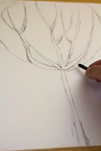 Teaching Kids How To Draw From Life: How To Draw A Tree - Art For Kids ...