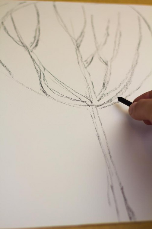 Teaching Kids How To Draw From Life: How To Draw A Tree - Art For Kids ...