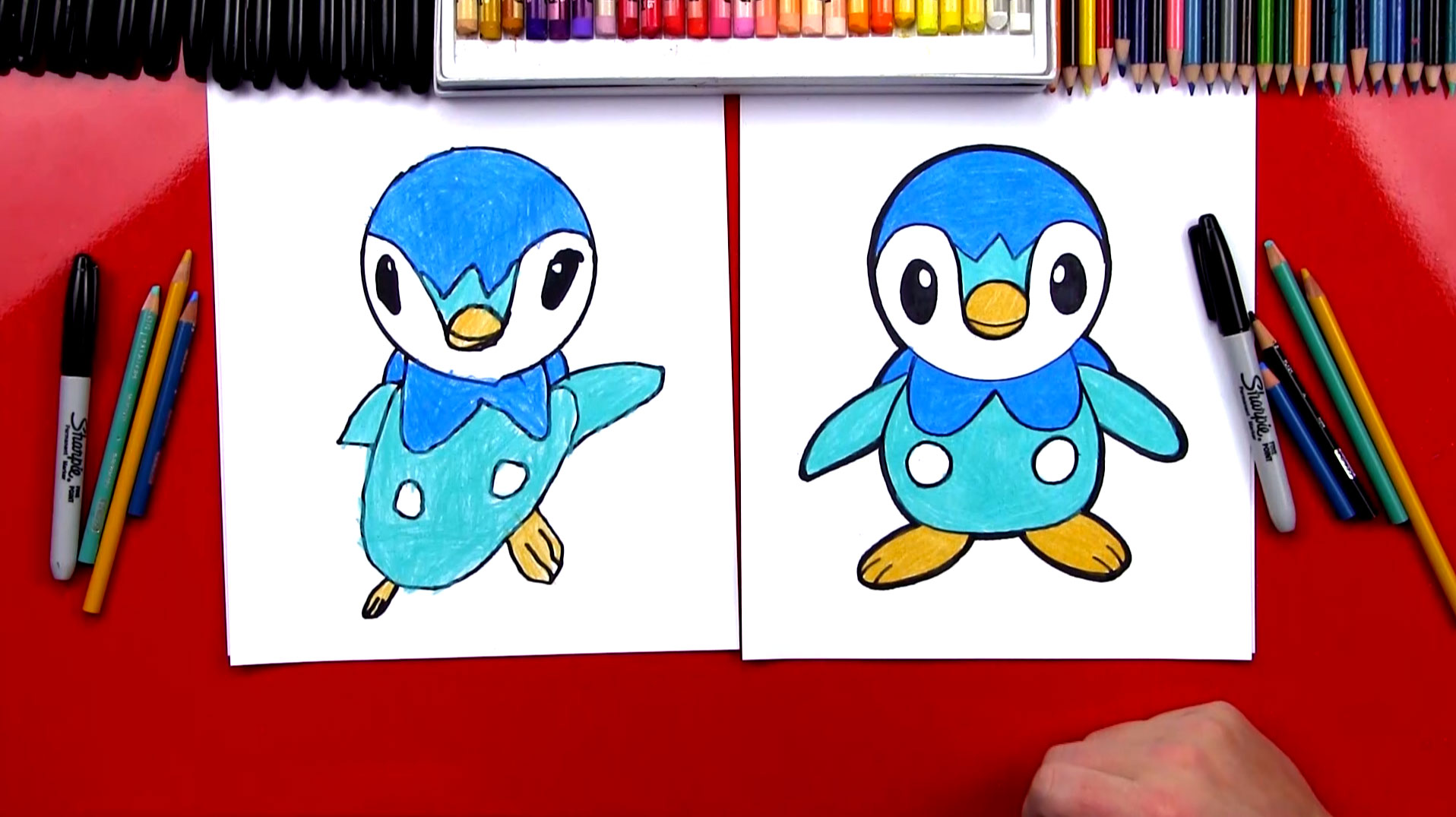 How To Draw Piplup Notionnation Triptoli How To Draw Piplup Notionnation Triptoli