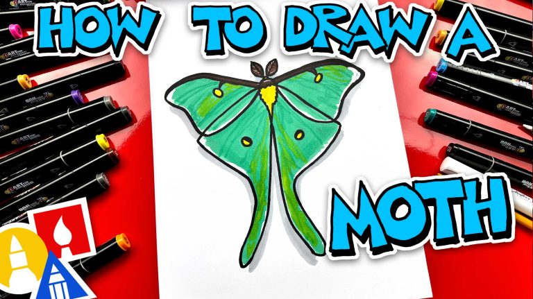 Insects Archives - Art For Kids Hub