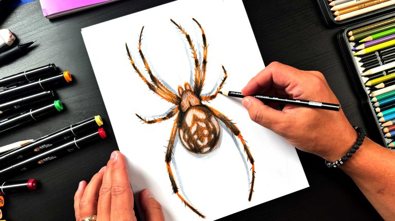 Insects Archives - Art For Kids Hub